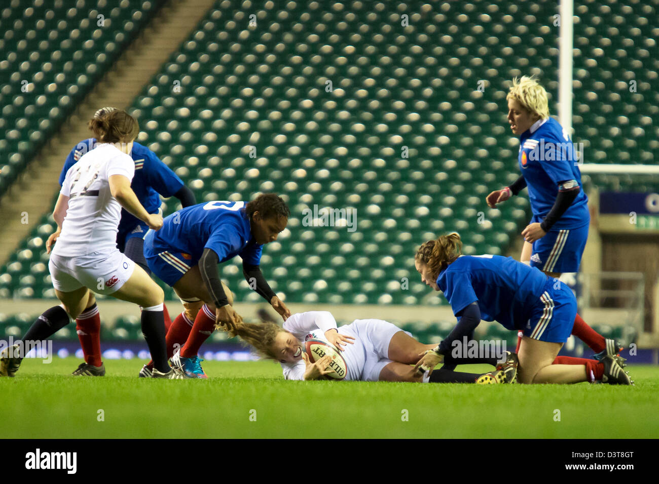 Amber reed hi-res stock photography and images - Alamy