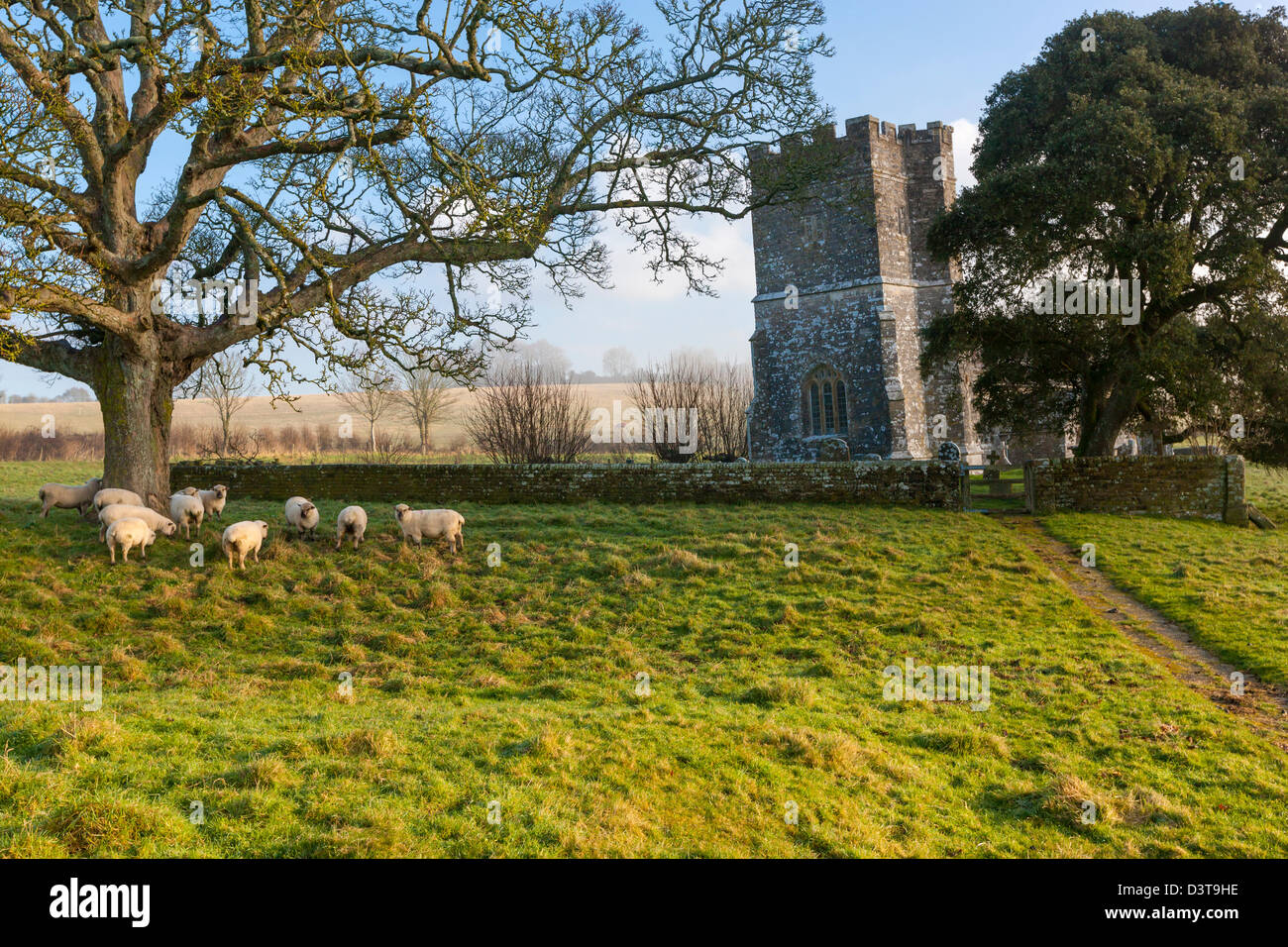 Whitcombe High Resolution Stock Photography and Images - Alamy