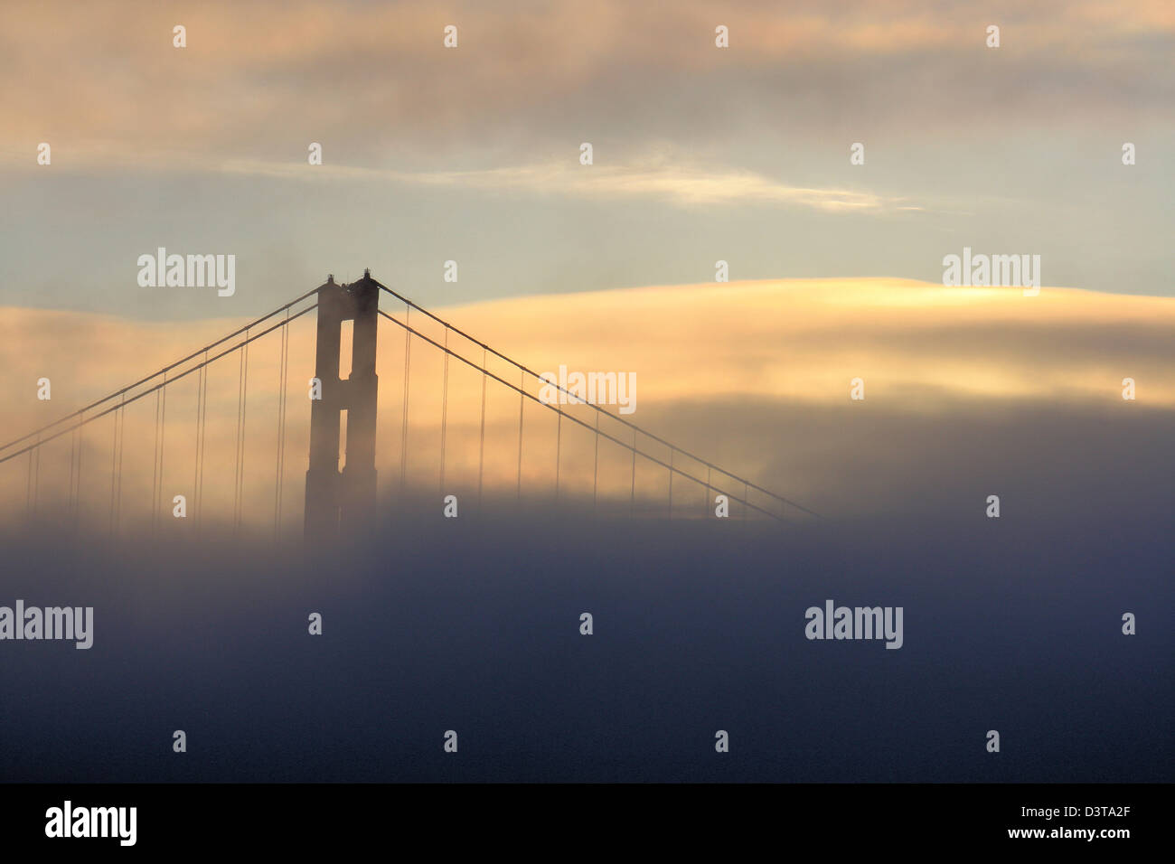 The golden gate bridge, San Francisco, United States of America Stock ...