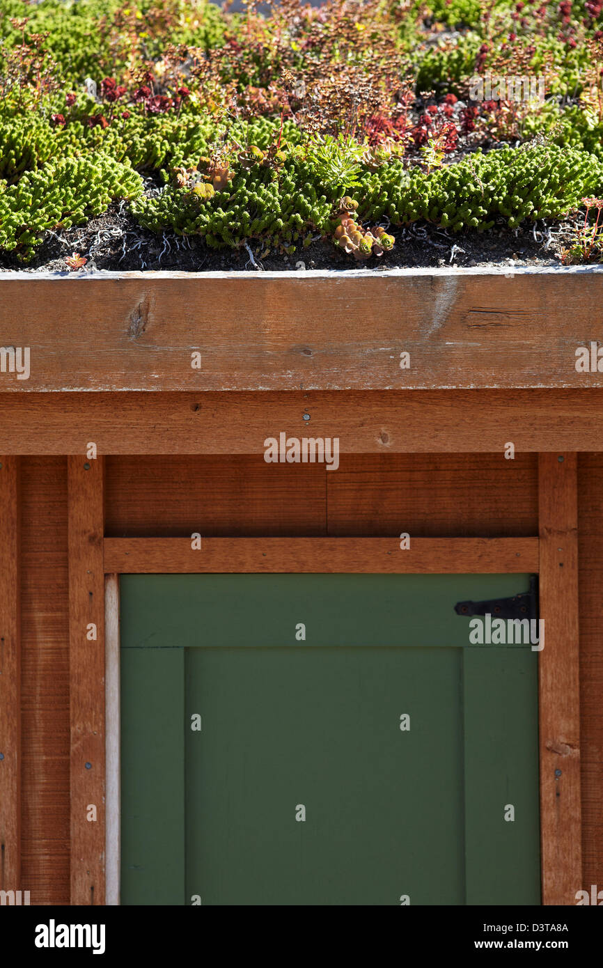 Planted roof hi-res stock photography and images - Alamy