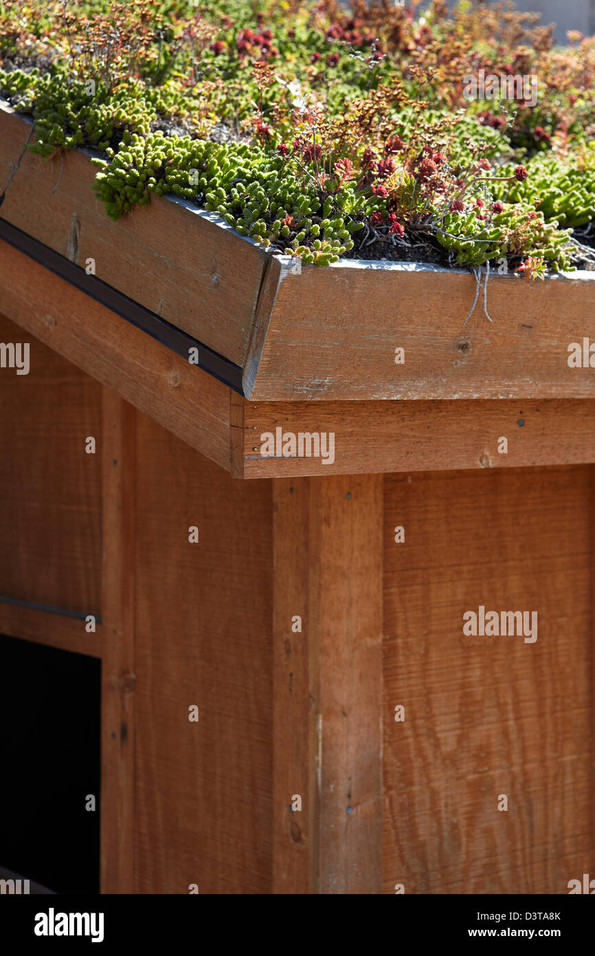 Green planted eco roof Stock Photo - Alamy