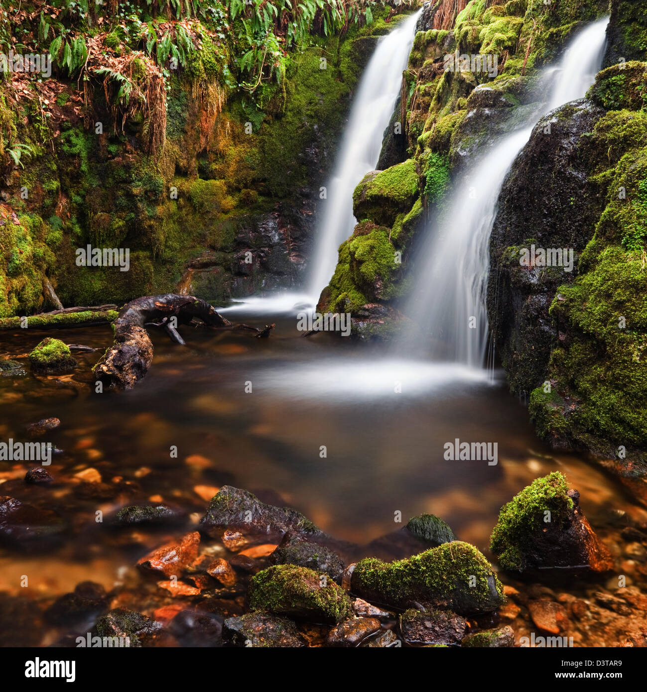 Brook square hi-res stock photography and images - Alamy