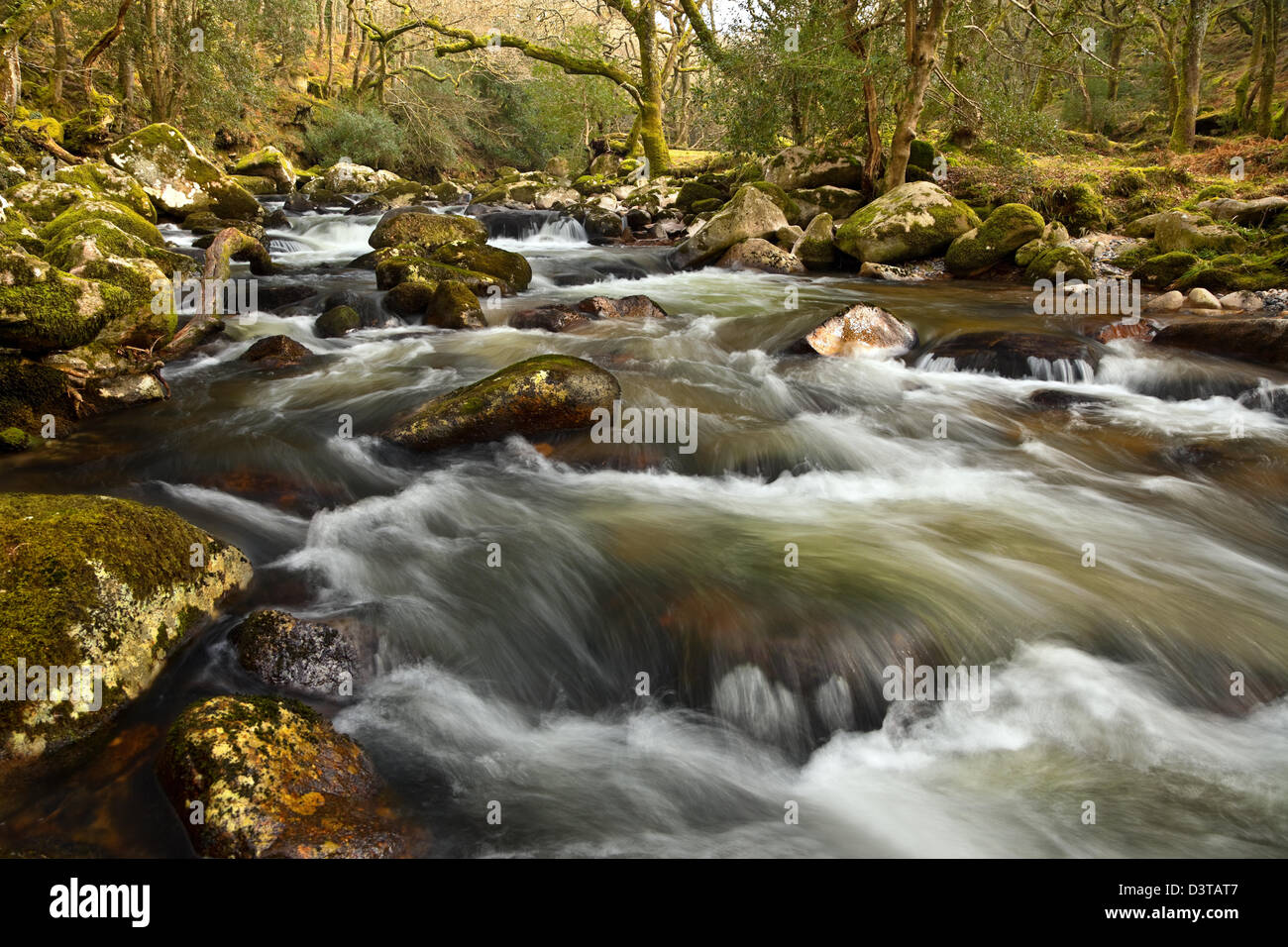 The river Plym crashes down the rocky river which cuts through the ...