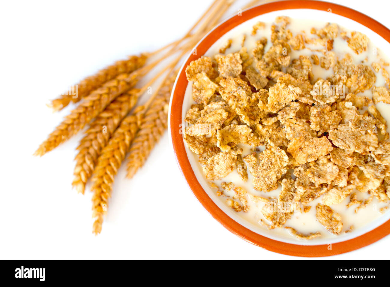 Close up of a bowl with corn flakes and wheat on the white background ...