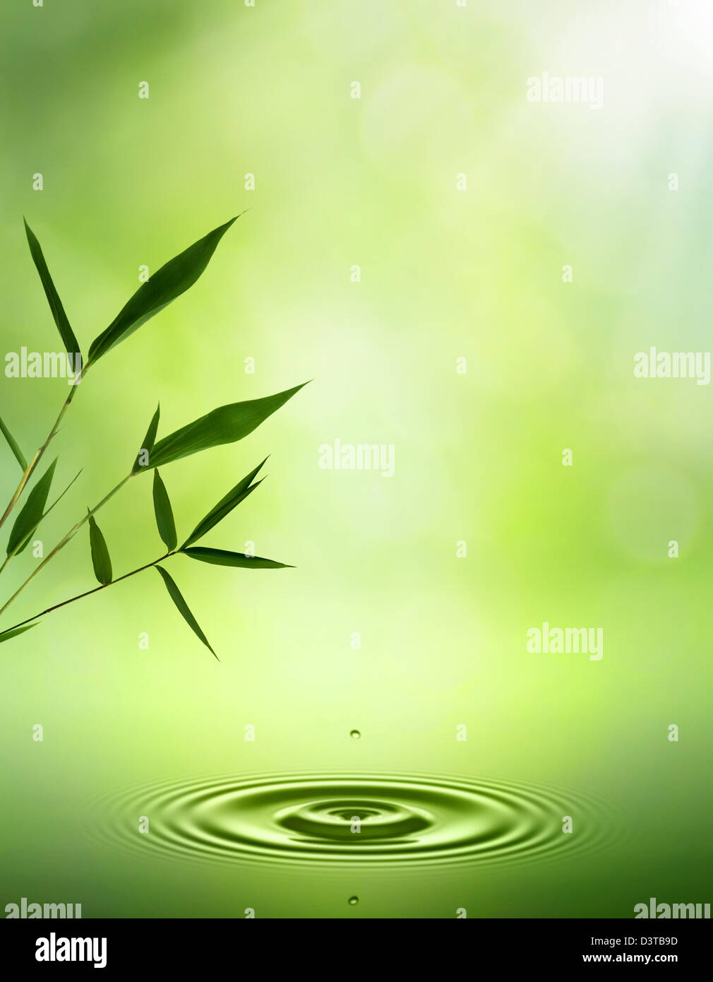 Bamboo. Abstract oriental backgrounds for your design Stock Photo - Alamy