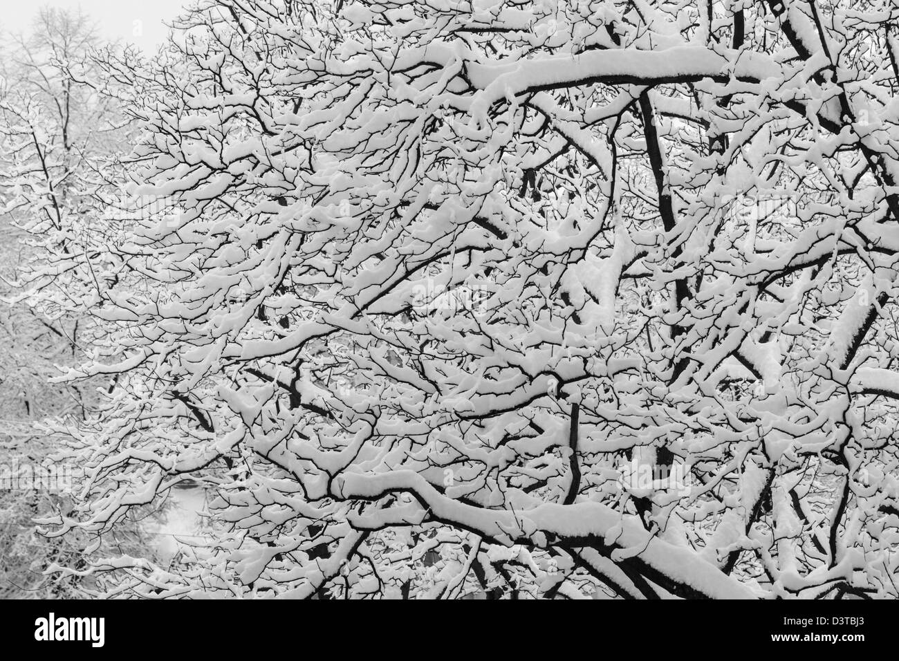 A lot snow Black and White Stock Photos & Images - Alamy