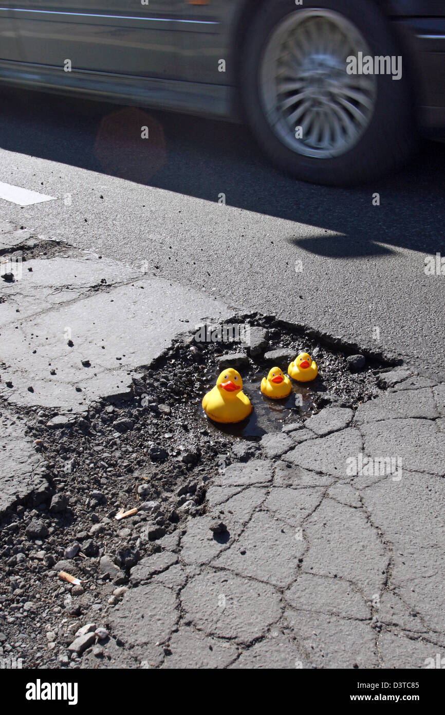 Berlin, Germany, Rubber Ducks sitting in a pothole Stock Photo - Alamy