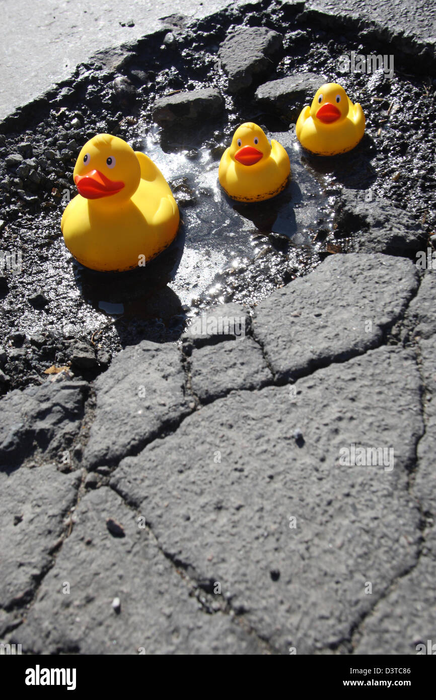 Berlin, Germany, Rubber Ducks sitting in a pothole Stock Photo - Alamy