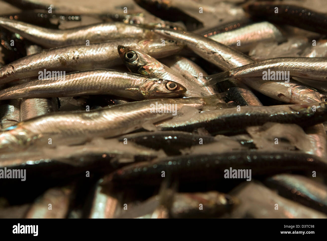 Interior santa caterina food market hi-res stock photography and images ...