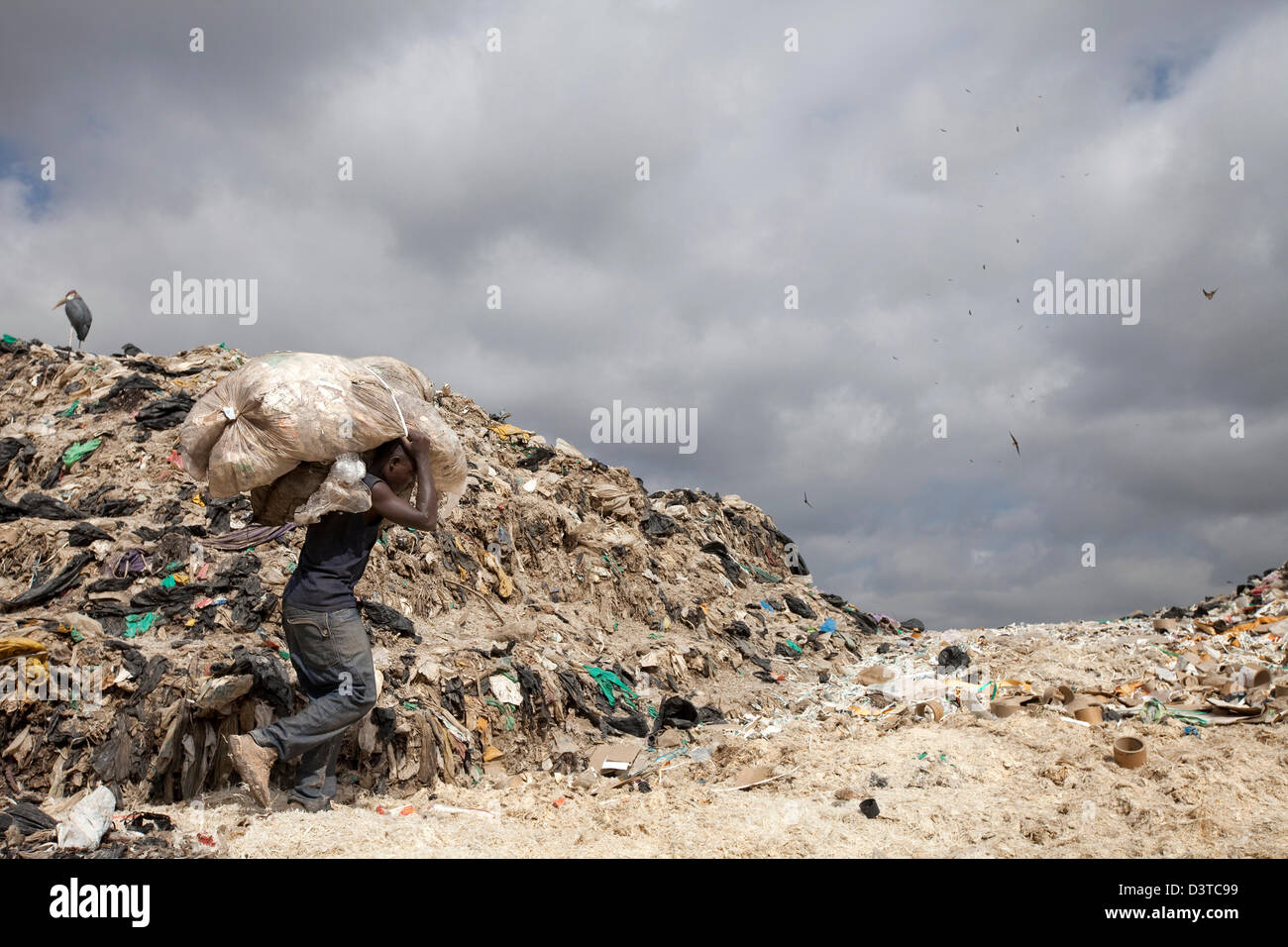 Dandora High Resolution Stock Photography and Images - Alamy