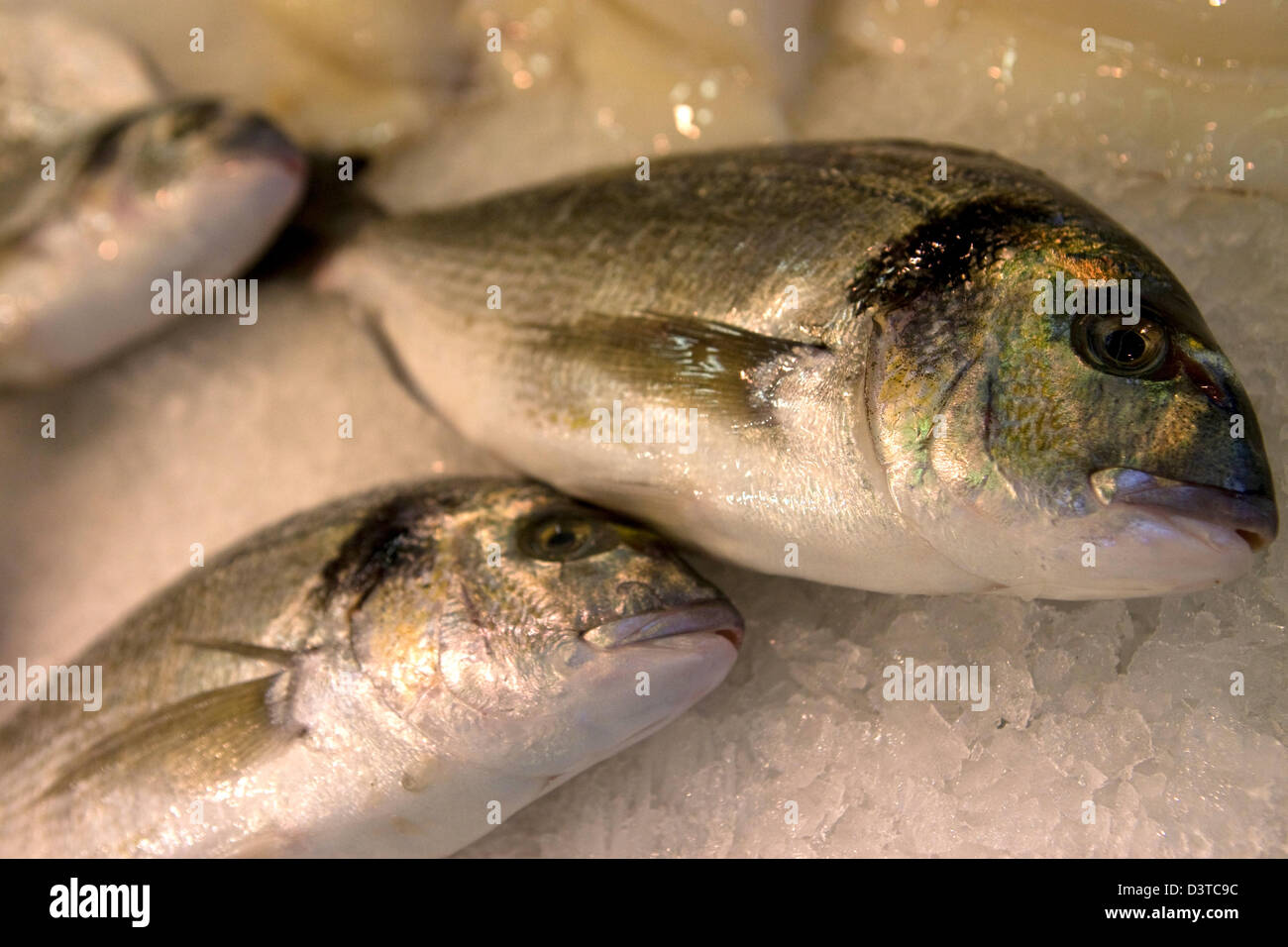 Interior santa caterina food market hi-res stock photography and images ...