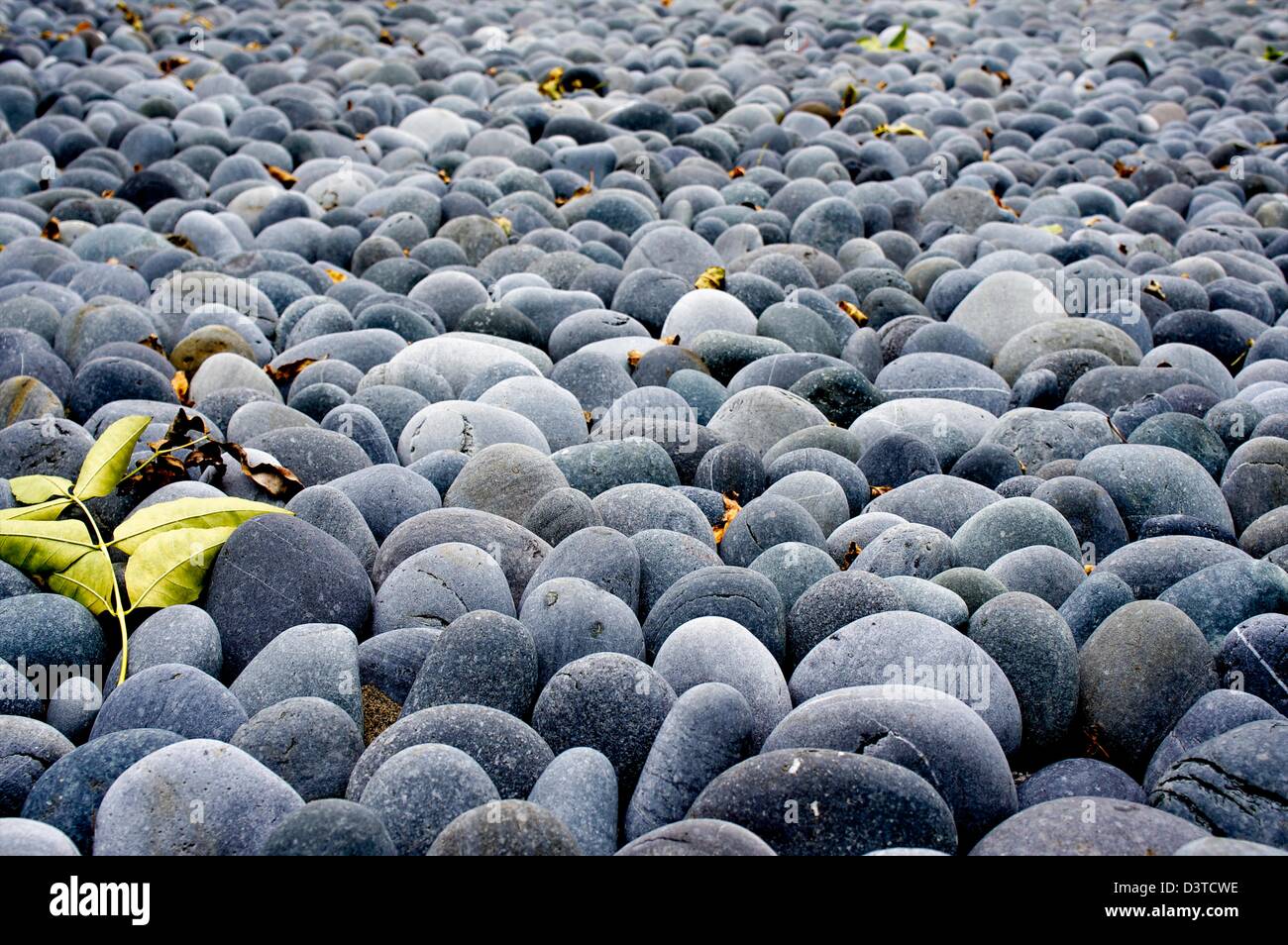 A seemingly endless sea of smooth round rocks Stock Photo - Alamy