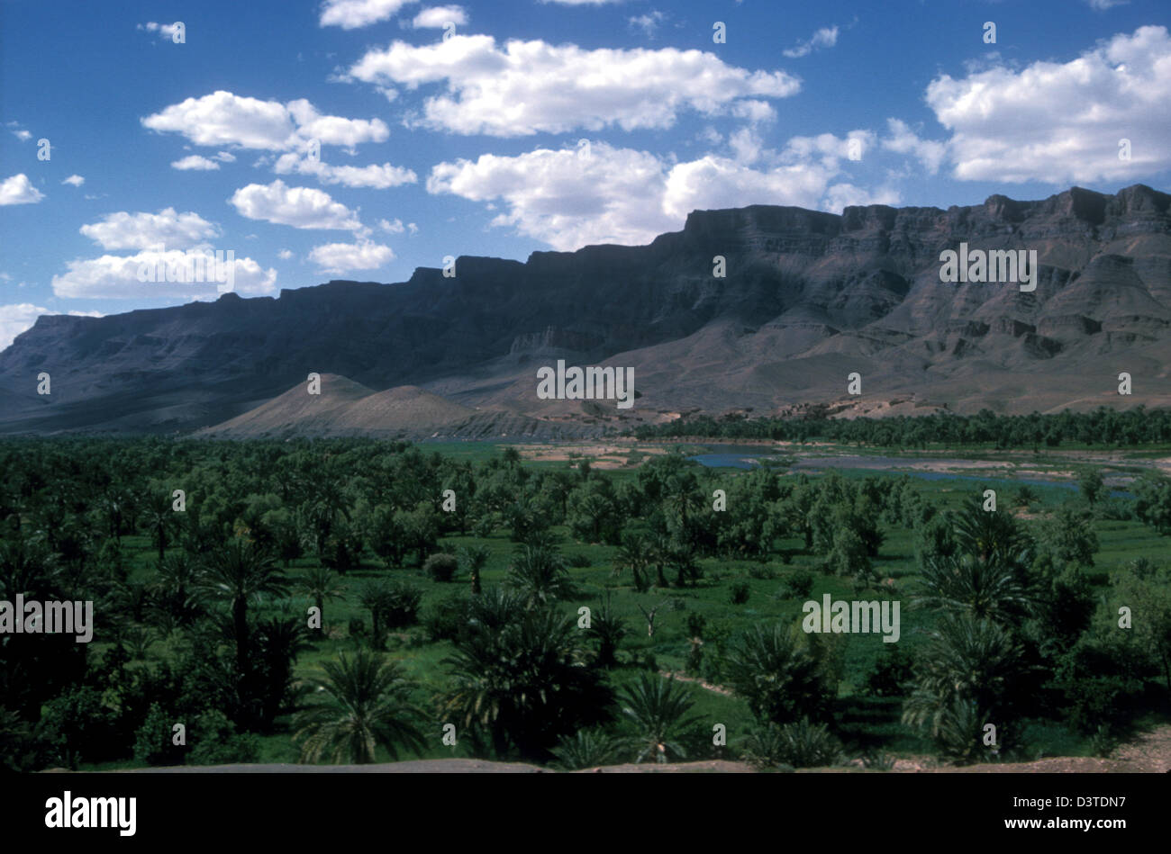 Oasis fed by the river Draa, southern Morocco. The Draa is Morocco's ...