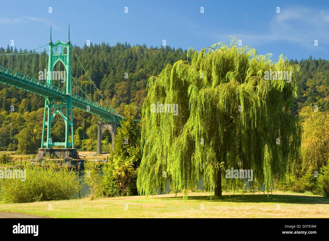 St Johns Bridge, Cathedral Park, Portland, Oregon Stock Photo - Alamy
