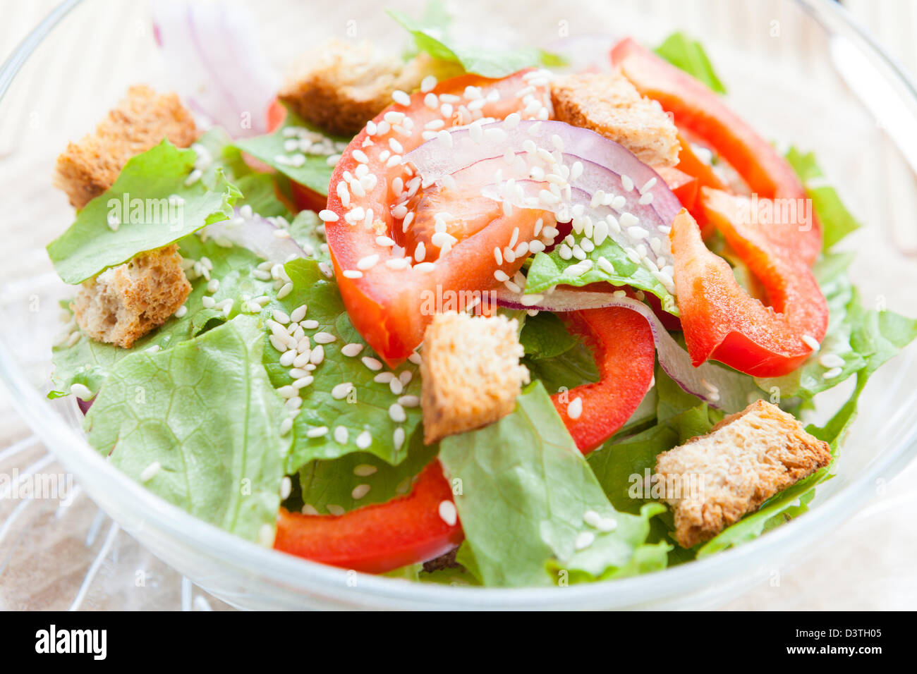 light vegetable salad with croutons and sesame, food closeup Stock ...