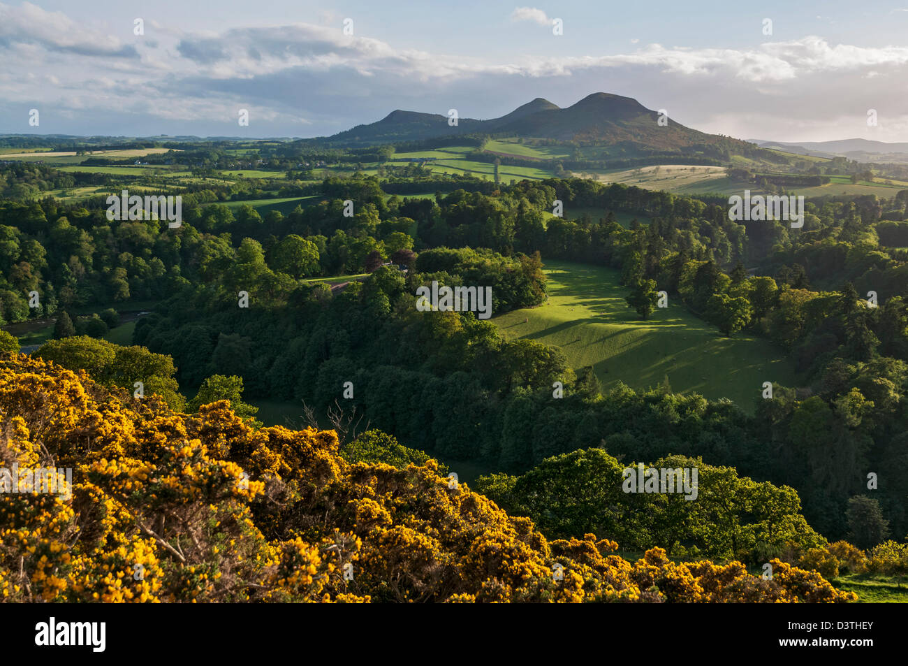 Scotts view hi-res stock photography and images - Alamy