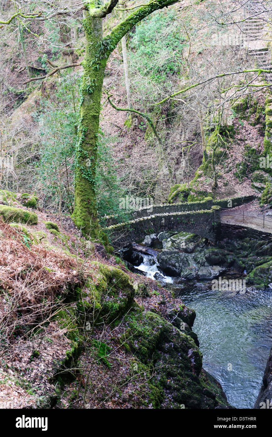 Aira Force , Waterfall, Cumbria Stock Photo - Alamy