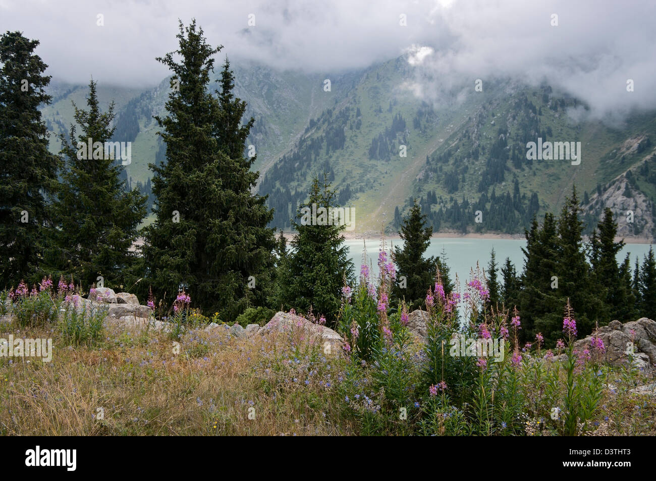Big Almaty Mountain Lake Stock Photo - Alamy
