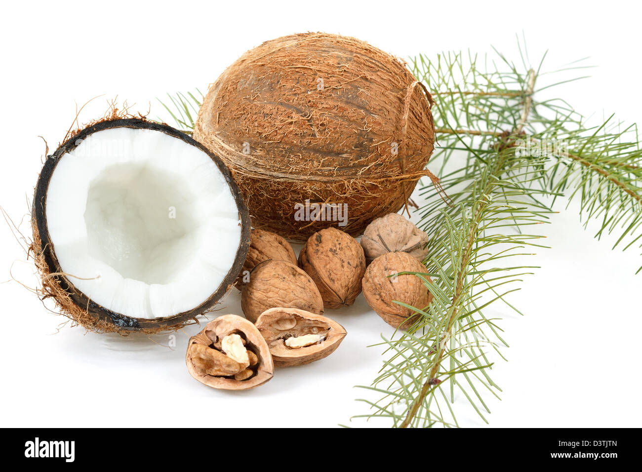 Walnut and white pine hi-res stock photography and images - Alamy