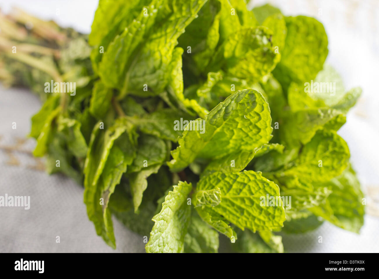 a bunch of fresh mint leaves Stock Photo - Alamy