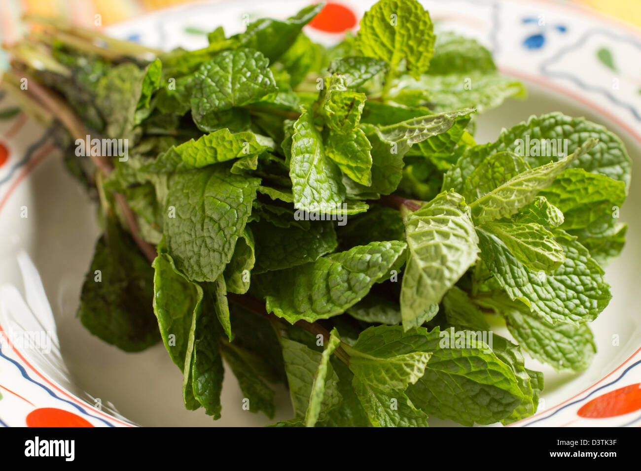 Leaves traditional hi-res stock photography and images - Alamy