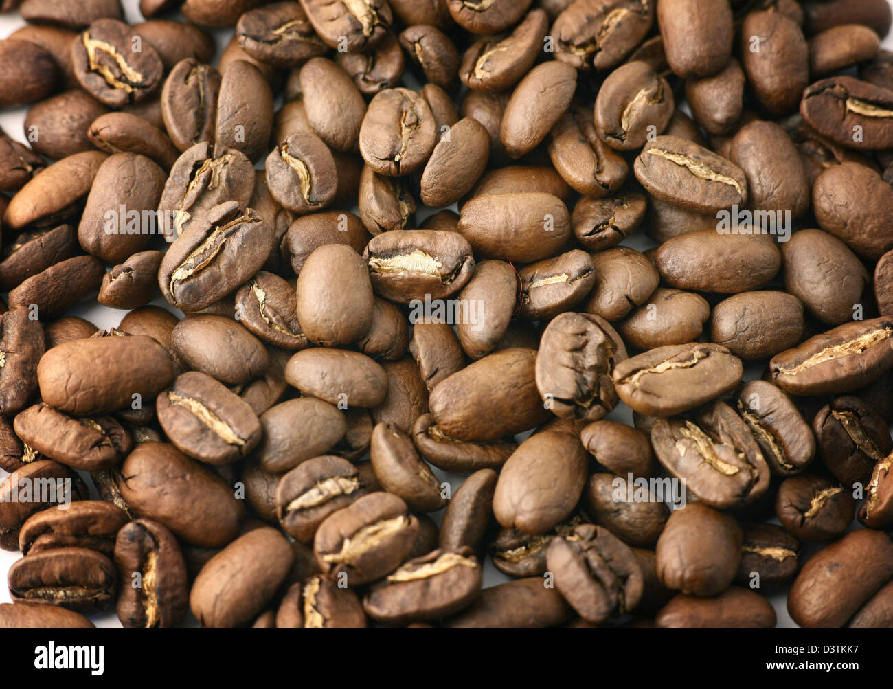 Maragogype High Resolution Stock Photography and Images - Alamy