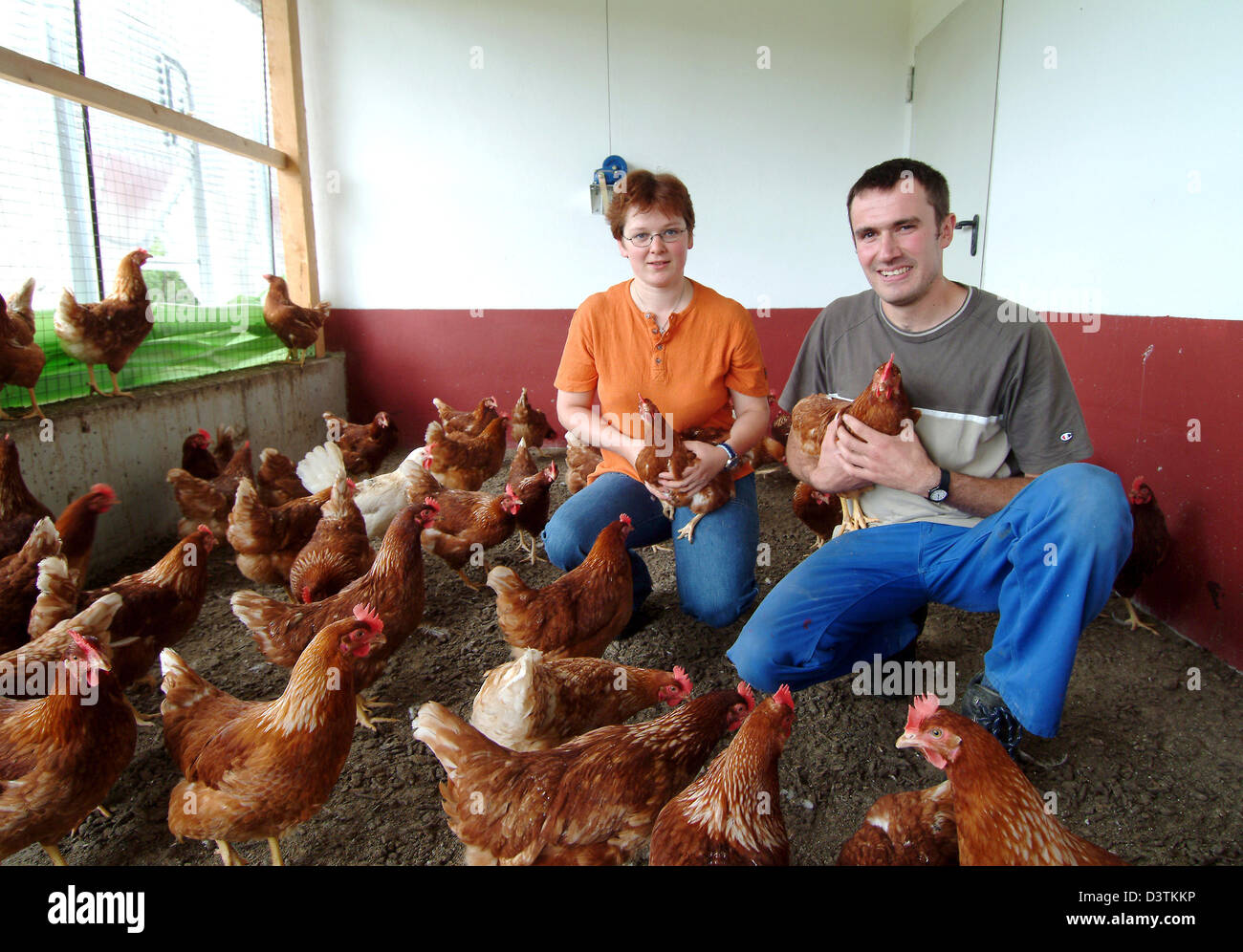 (dpa file) - Chicken farmer Gudrun and Edgar are pictured among their ...
