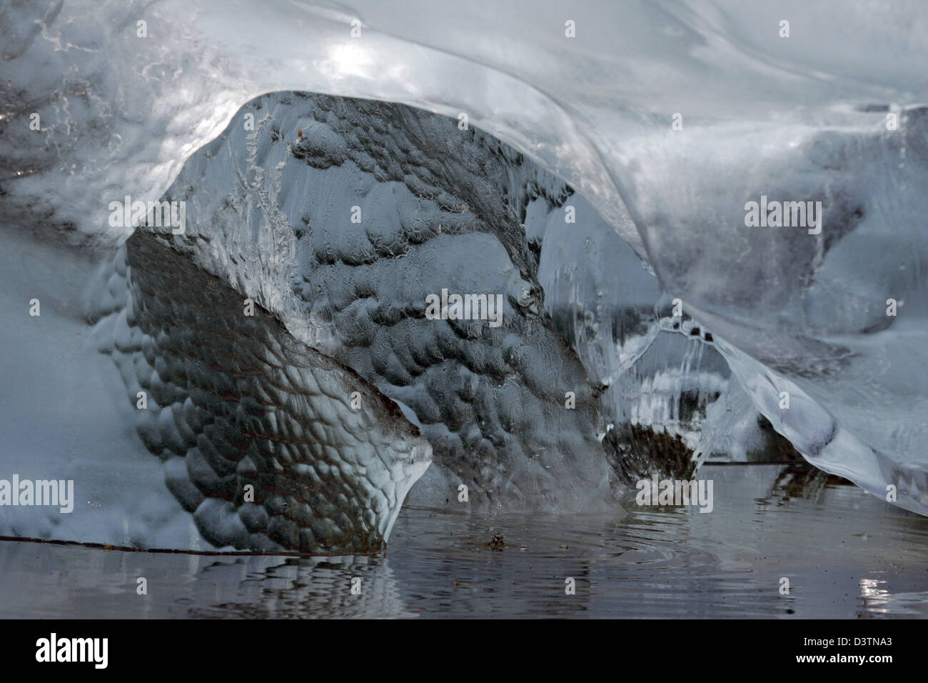 Translucently hi-res stock photography and images - Alamy