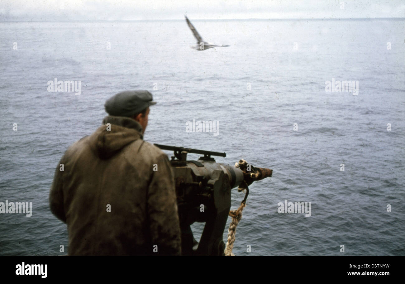 (dpa file) - The picture shows a harpooner waiting to shoot the whale ...