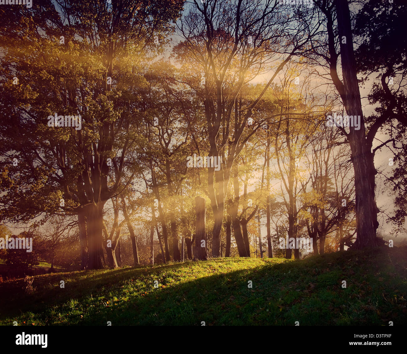 GB - GLOUCESTERSHIRE: Autumn in Cheltenham's Pittville Park Stock Photo ...