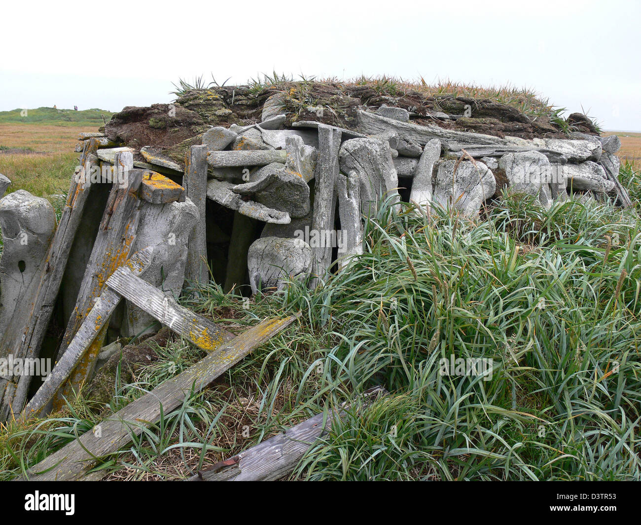 A hut made of whale bones pictured in Point Hope, AK, United States, 2 ...