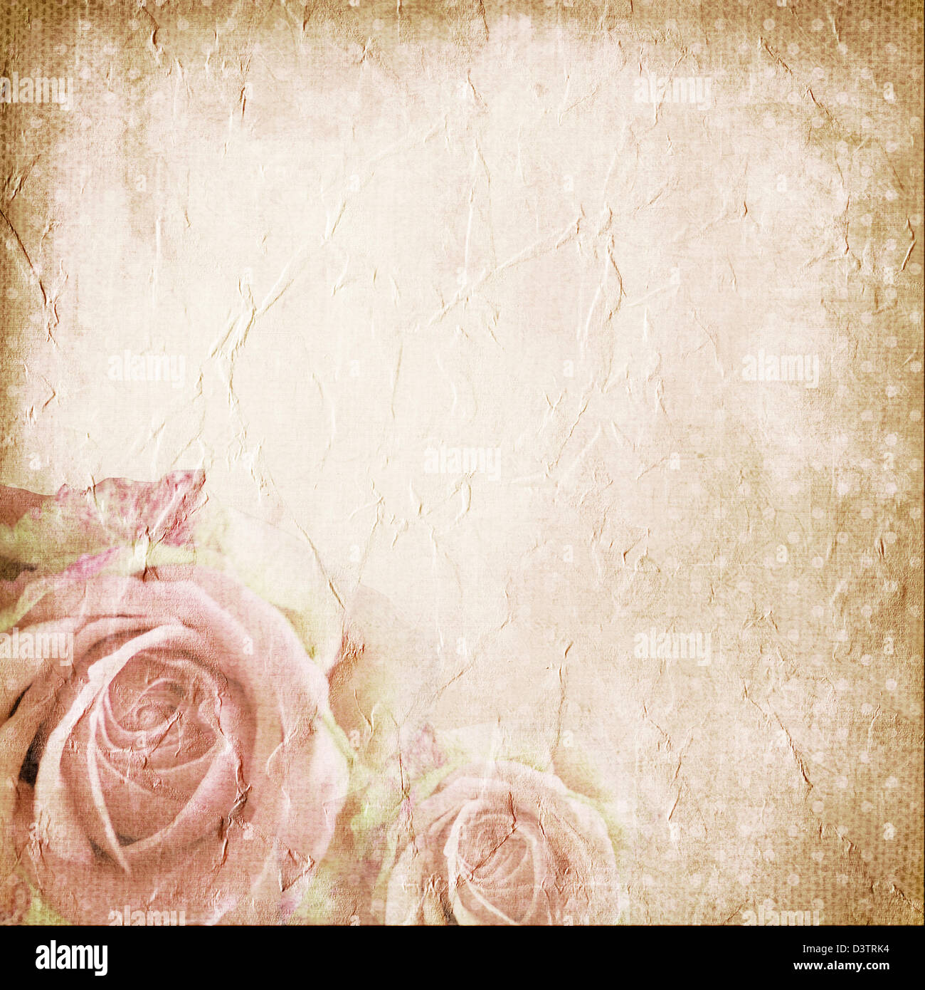 Paper background with rose Stock Photo - Alamy