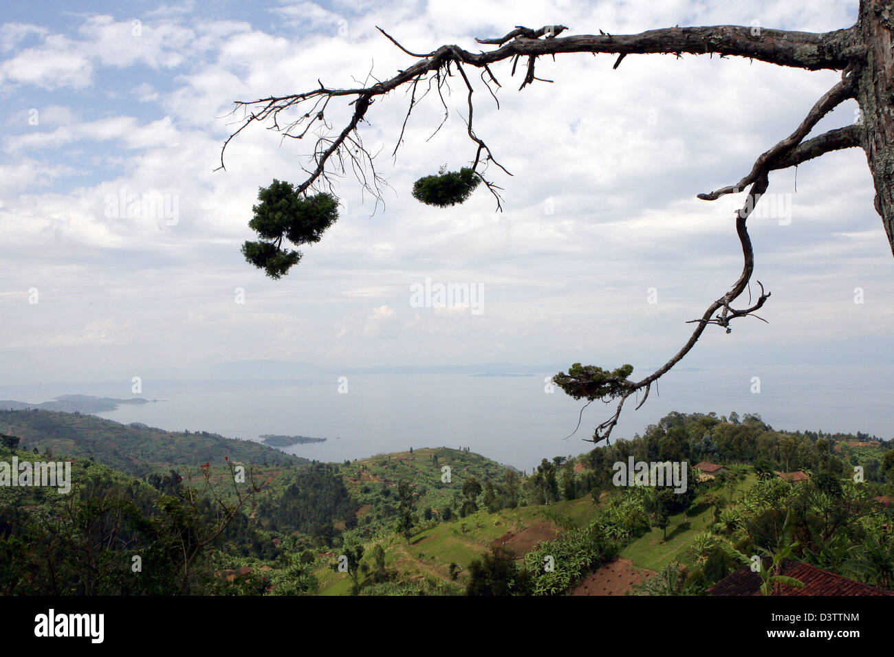 View over rank vegetation on the Kivu lake, Rwanda, 02 November 2006 ...