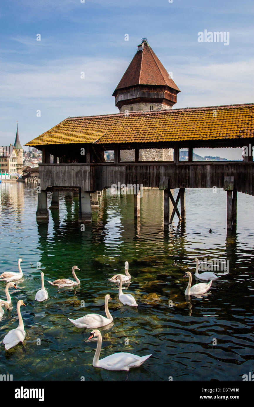 Chapel bridge in luzern hi-res stock photography and images - Alamy