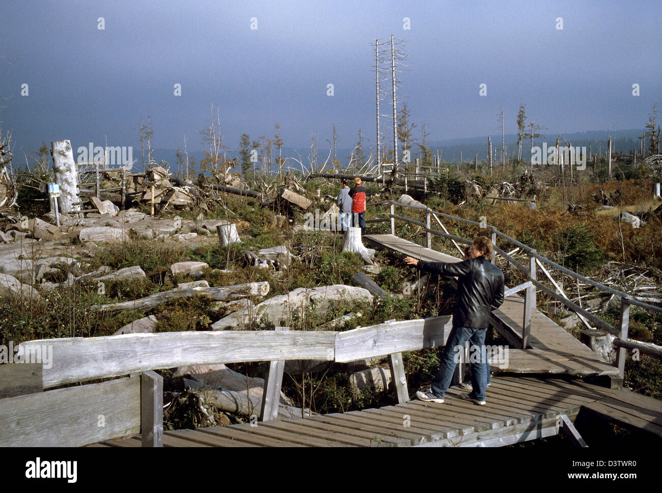 Hikers walk on boardwalks on the 'Lothar Path' among the leftovers of ...
