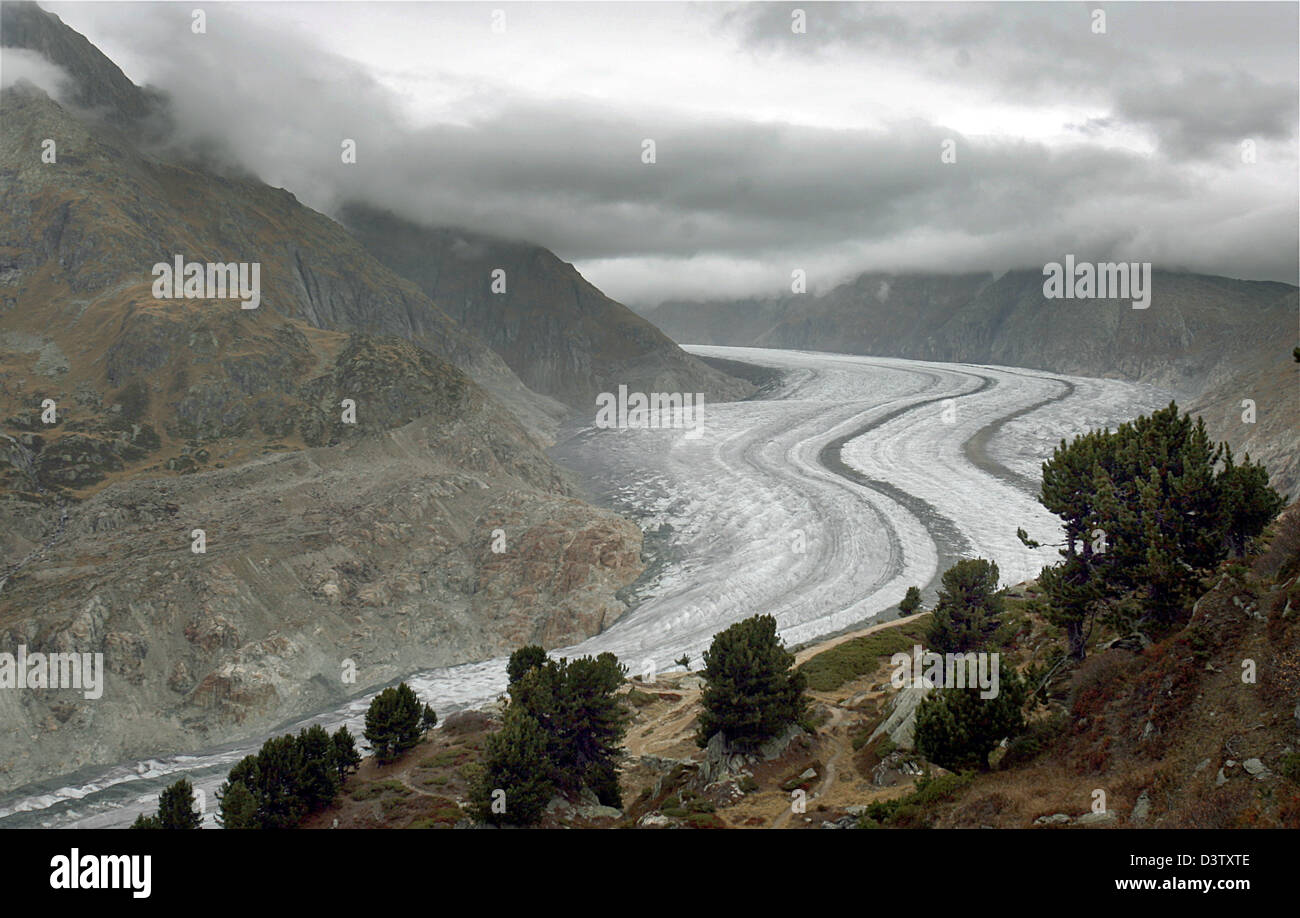 The Aletsch glacier pictured near Bettmeralp, Switzerland, 23 October ...
