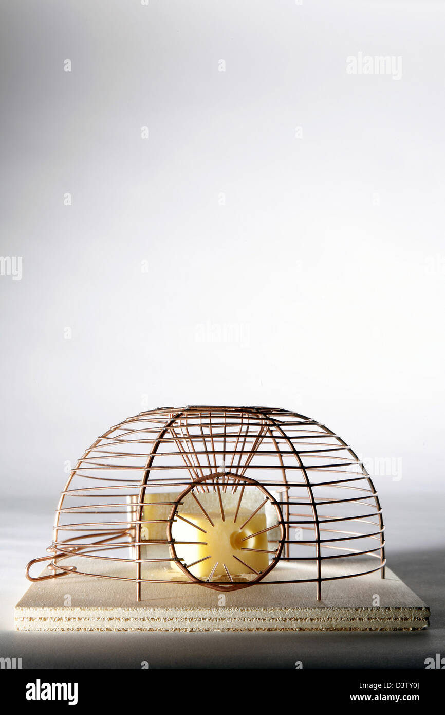 The picture shows a mousetrap in Frankfurt Main, Germany, MOnday, 28 ...