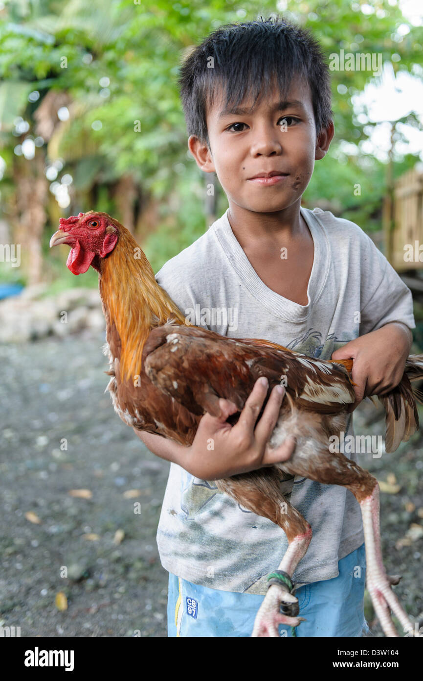 Boy with rooster, Mambusao, Philippines, Asia Stock Photo - Alamy