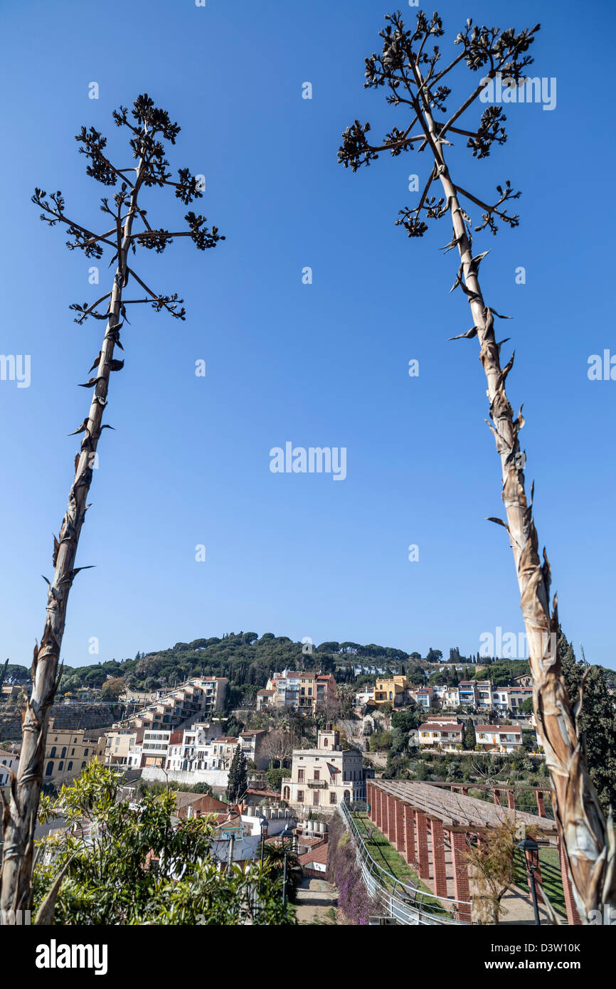 Estrac hi-res stock photography and images - Alamy