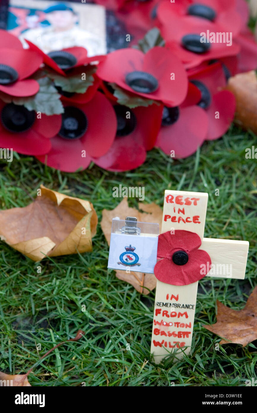 Red poppy's on display to commemorate the sacrifices made by the ...