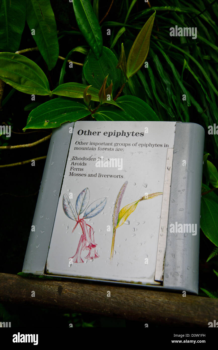 Singapore Botanical Garden1 degree Nth of the equator has 10,000 ...