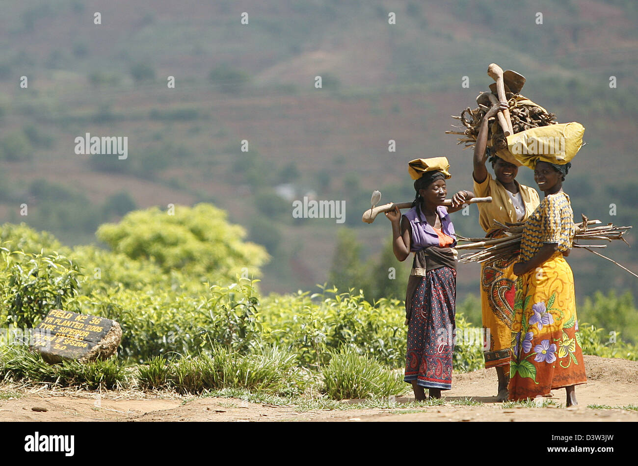 (dpa file) - Women balance bundles with fire wood and tools on their ...