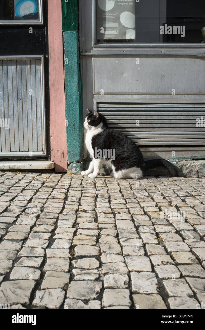 Porto is one of hi-res stock photography and images - Alamy