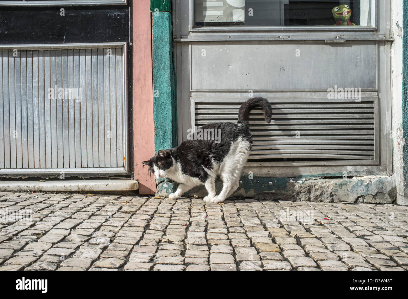 Porto is one of hi-res stock photography and images - Alamy