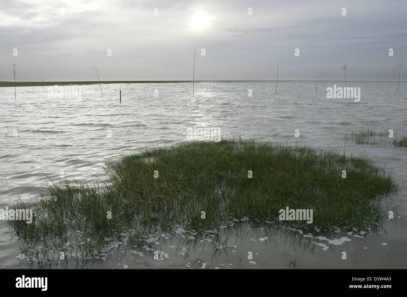 A low-pressure system arrives to Spieka-Neufeld, Germany, 10 November ...