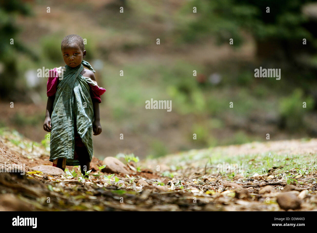 A small girl with a serious look walks along a wayside in the village ...