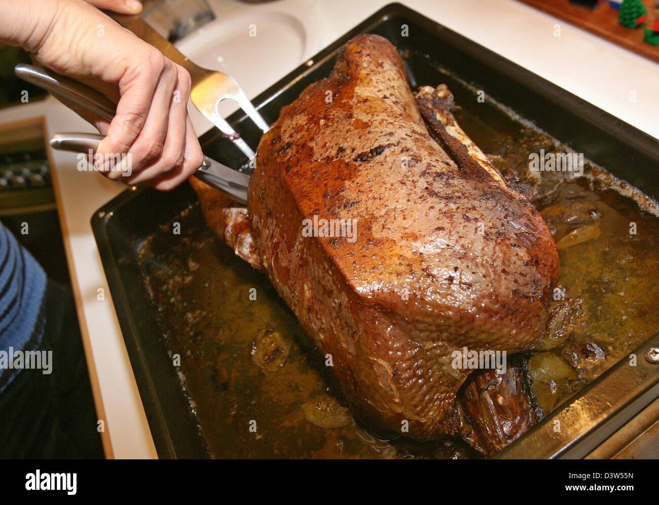 Female christmas goose hi-res stock photography and images - Alamy