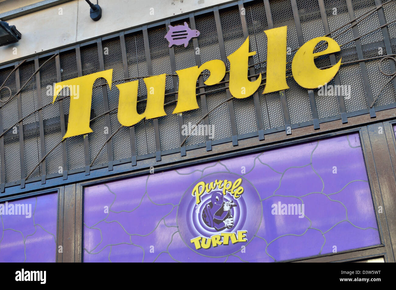 The purple turtle bar hi-res stock photography and images - Alamy
