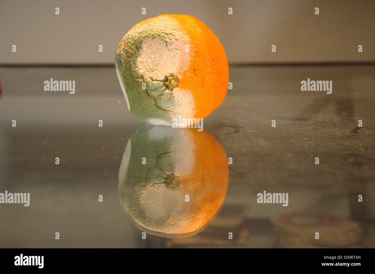 Orange still life hi-res stock photography and images - Alamy