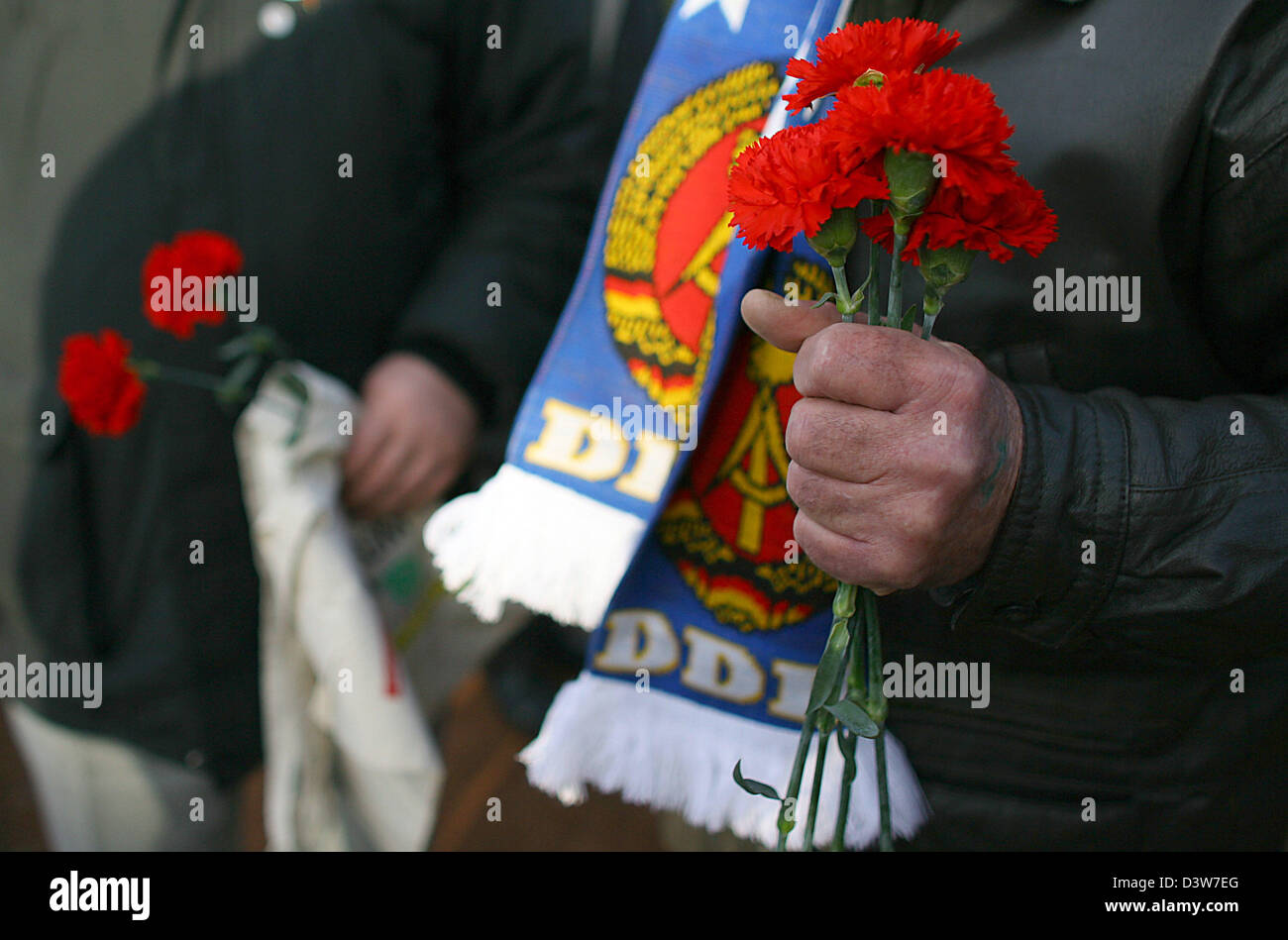 A man holds red carnations at the memorial for socialists Rosa ...
